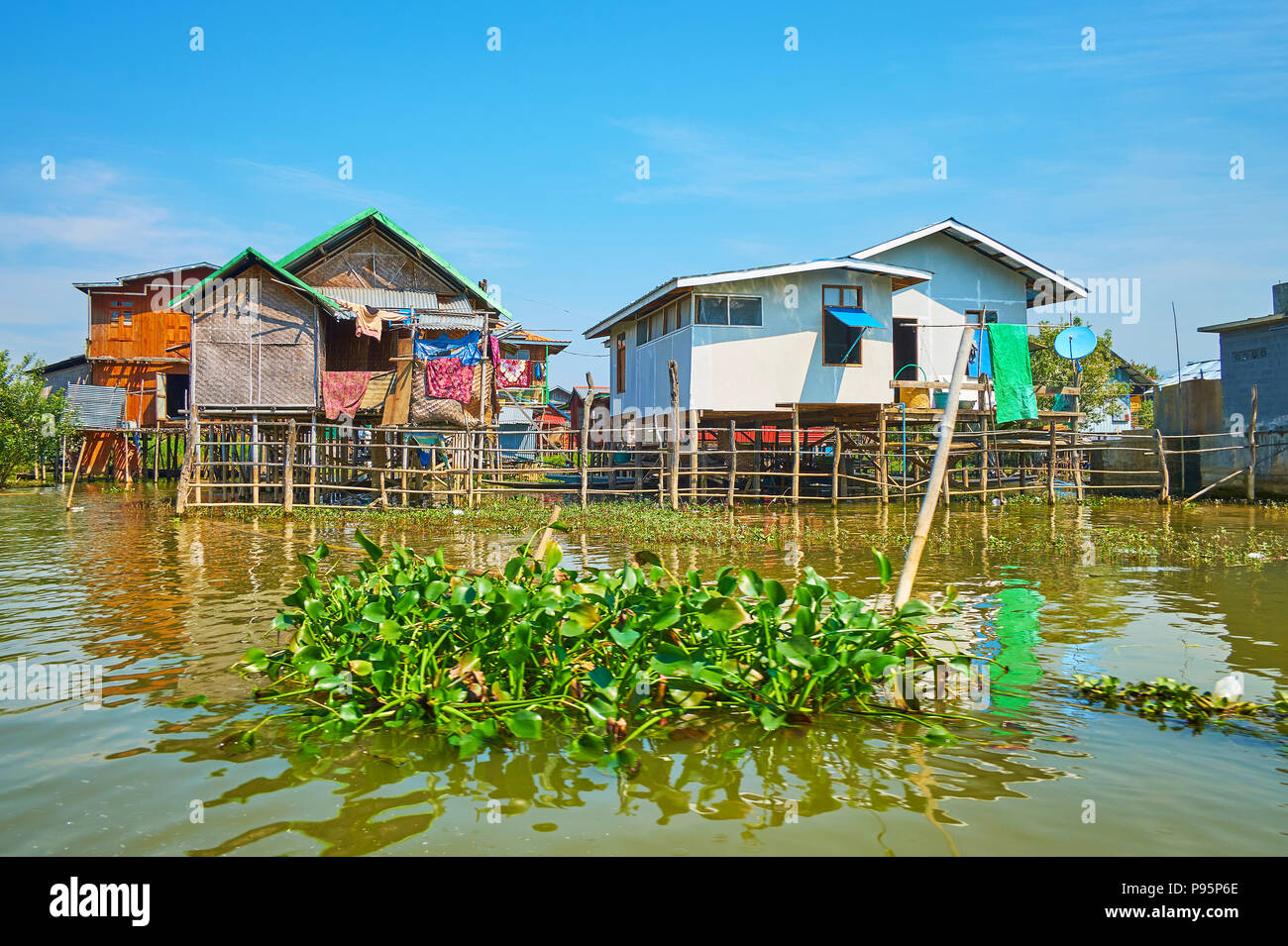 Southeast asia myanmar burma inlay lake agriculture hi-res stock ...