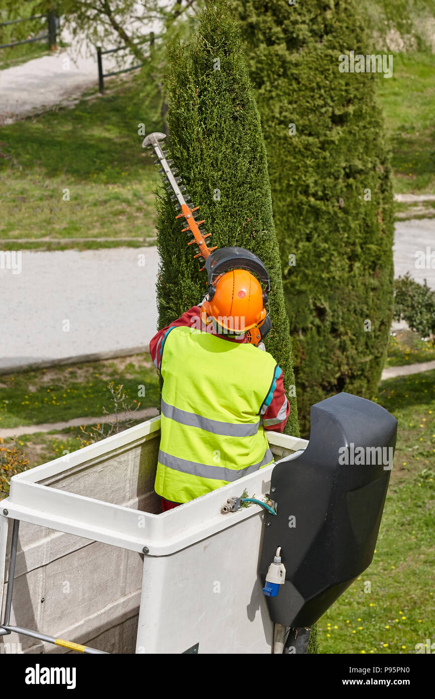 Equiped worker pruning a tree on a crane. Gardening works Stock Photo ...