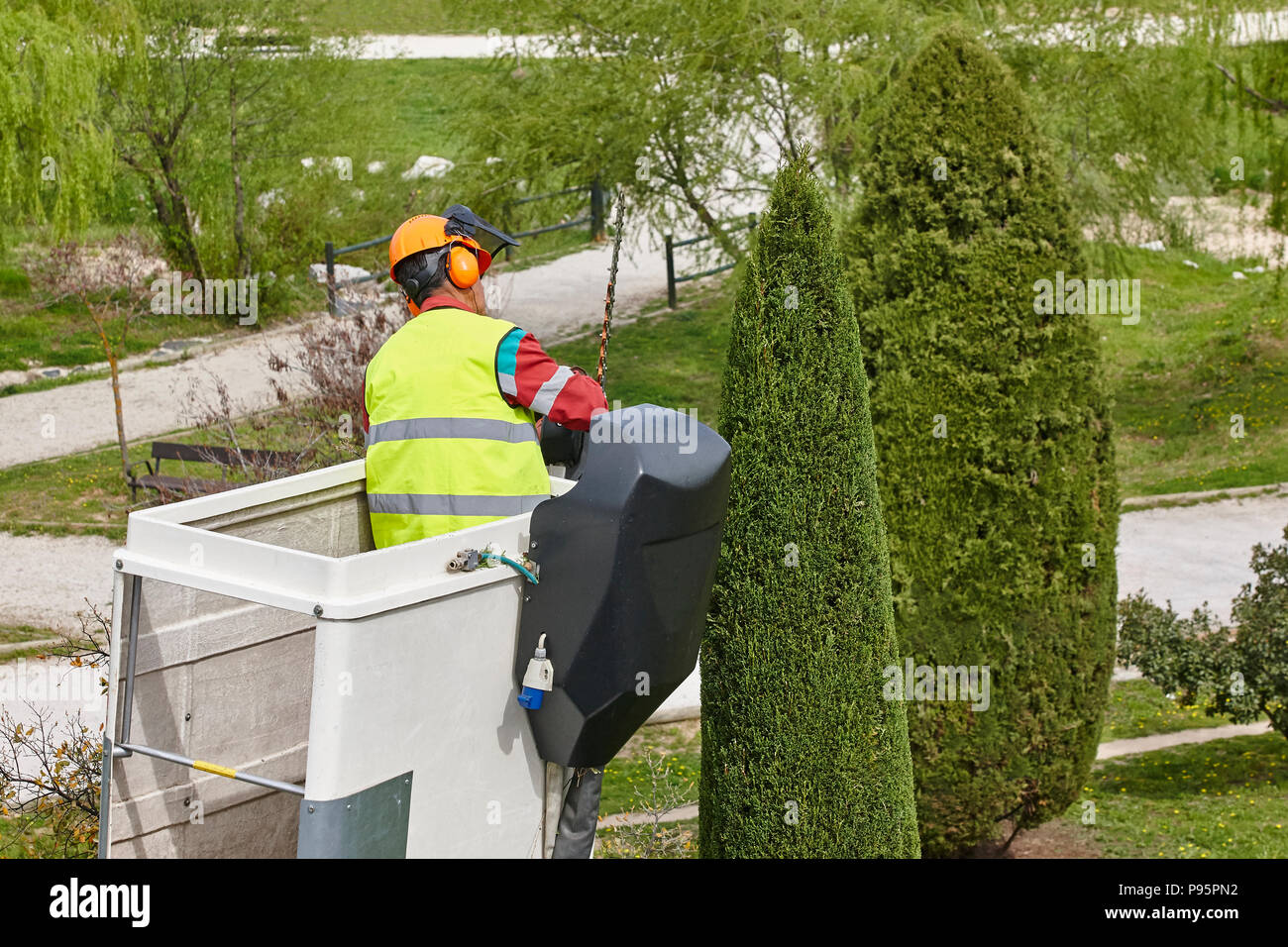 Equiped worker pruning a tree on a crane. Gardening works Stock Photo ...