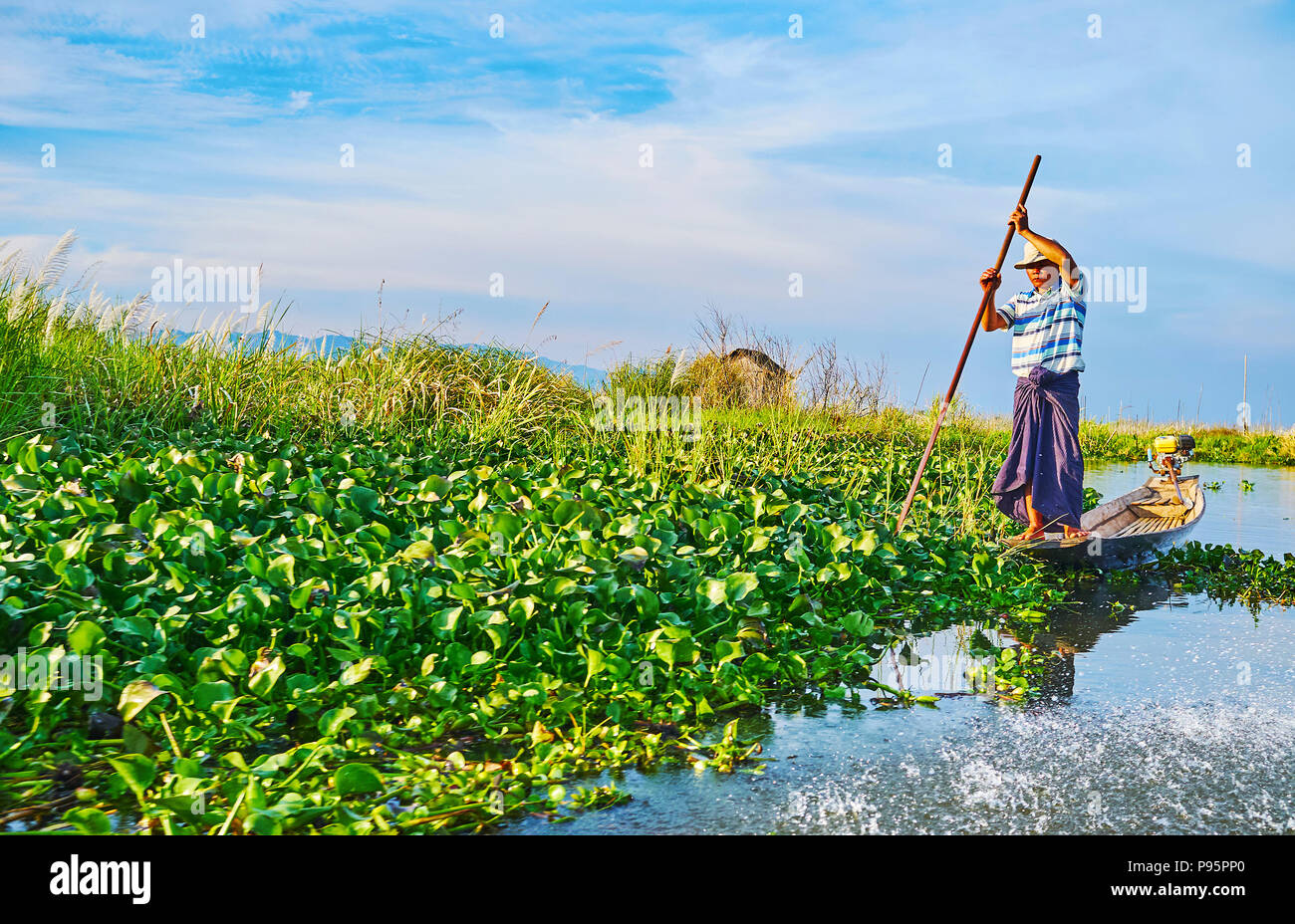 Southeast asia myanmar burma inlay lake agriculture hi-res stock ...