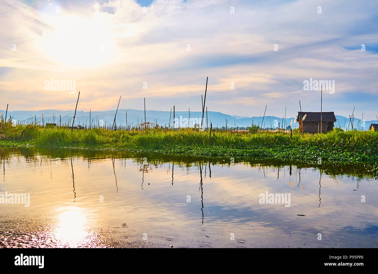 The clear surface of Inle Lake reflects the sunset sky and long poles ...