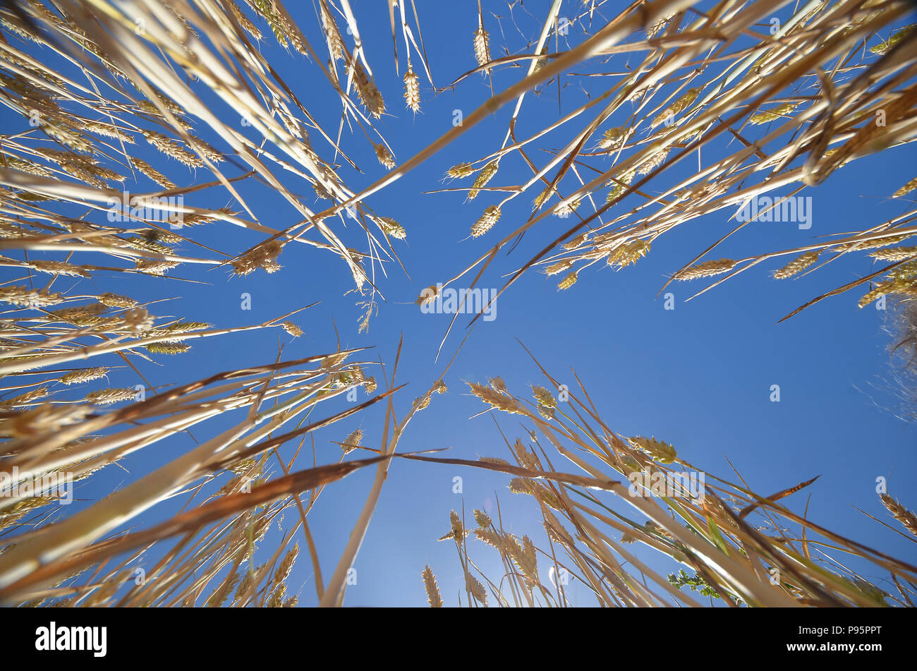 Direct angle hi-res stock photography and images - Alamy