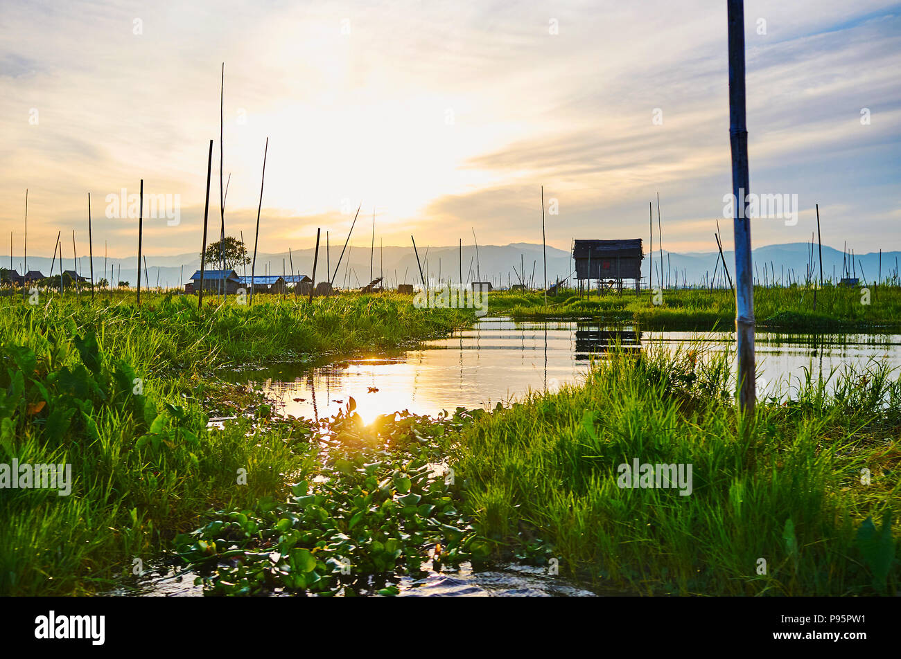 Watch the sunset above the greenery of floating farm on Inle Lake with ...