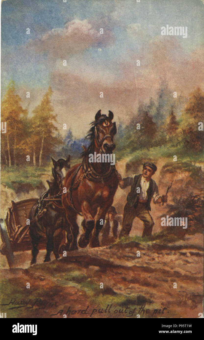 Pit pull hi-res stock photography and images - Alamy