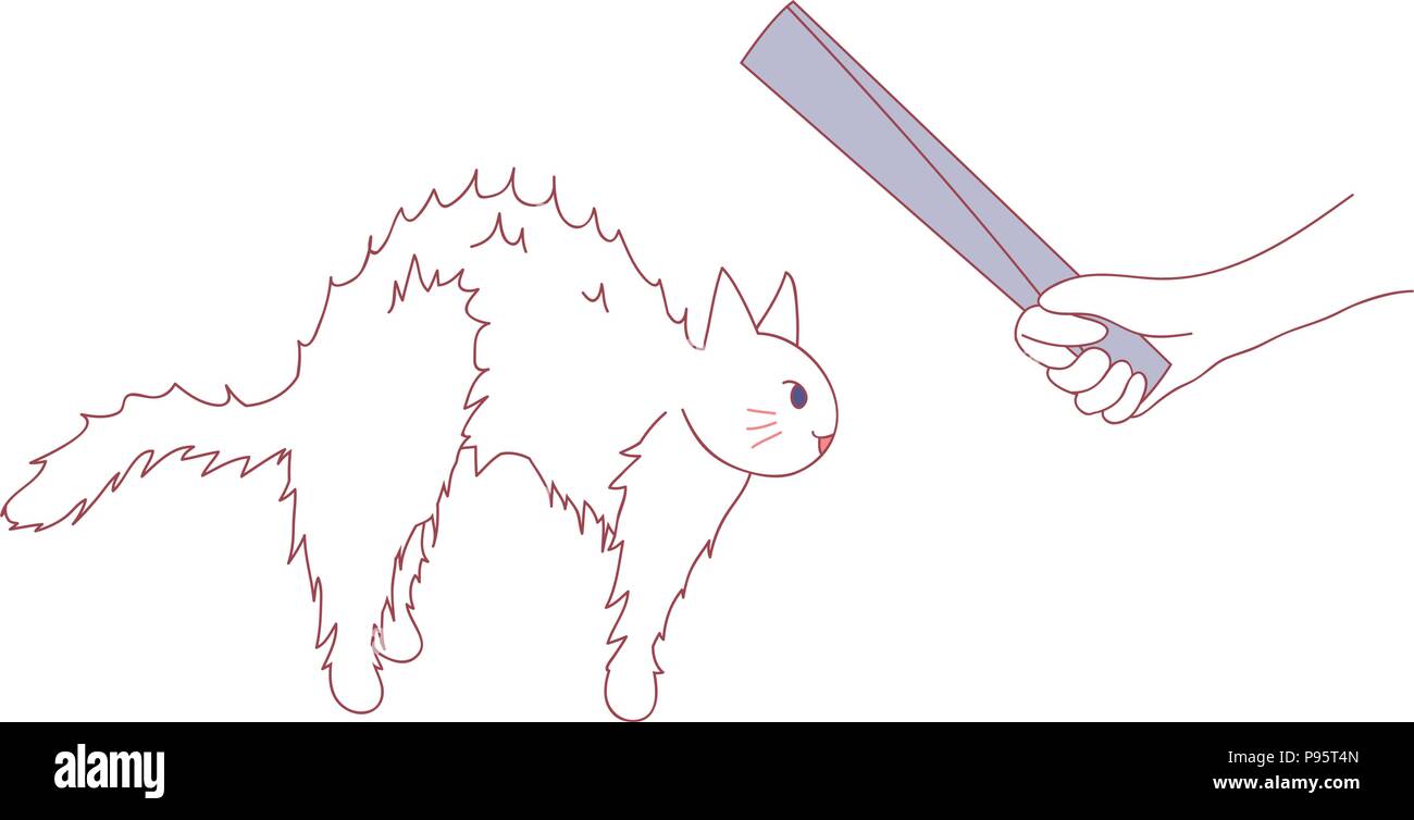Fearing Cat was Hit by Human. Vector illustration. isolated on White ...