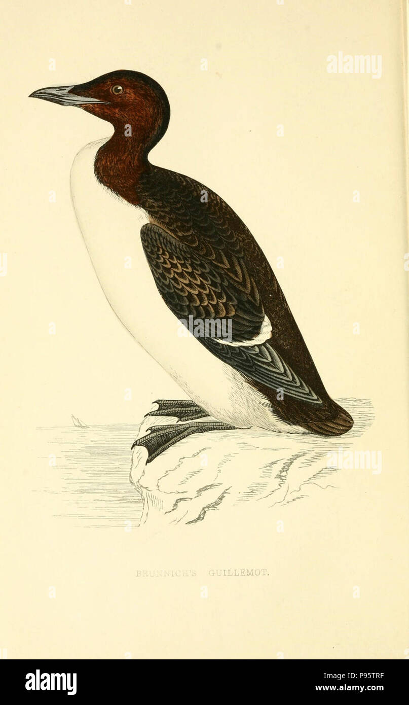 . A history of British birds. London,Groombridge and Sons,[1862?-1867 ...