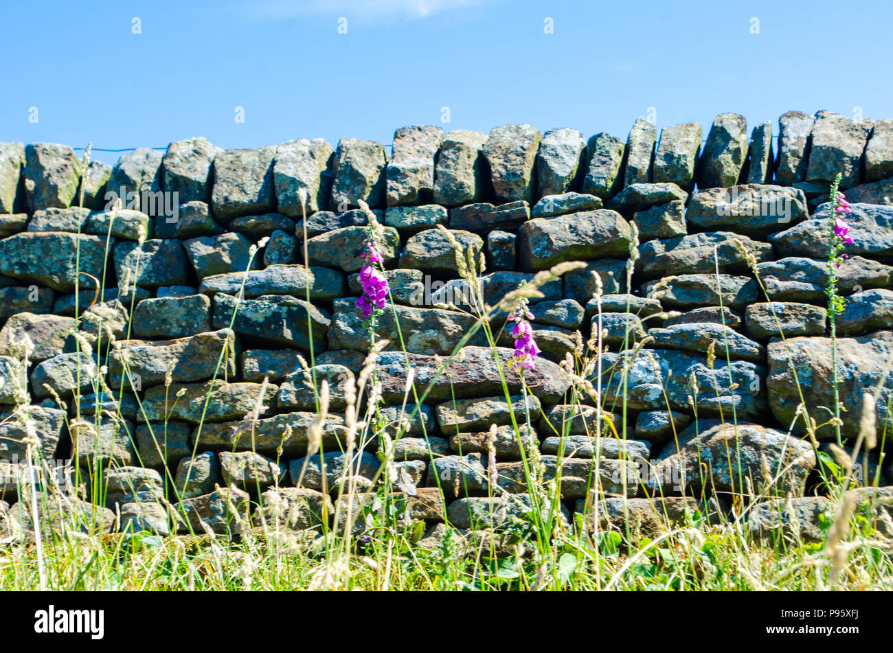 Yorkshire Dales dry stone wall Stock Photo - Alamy