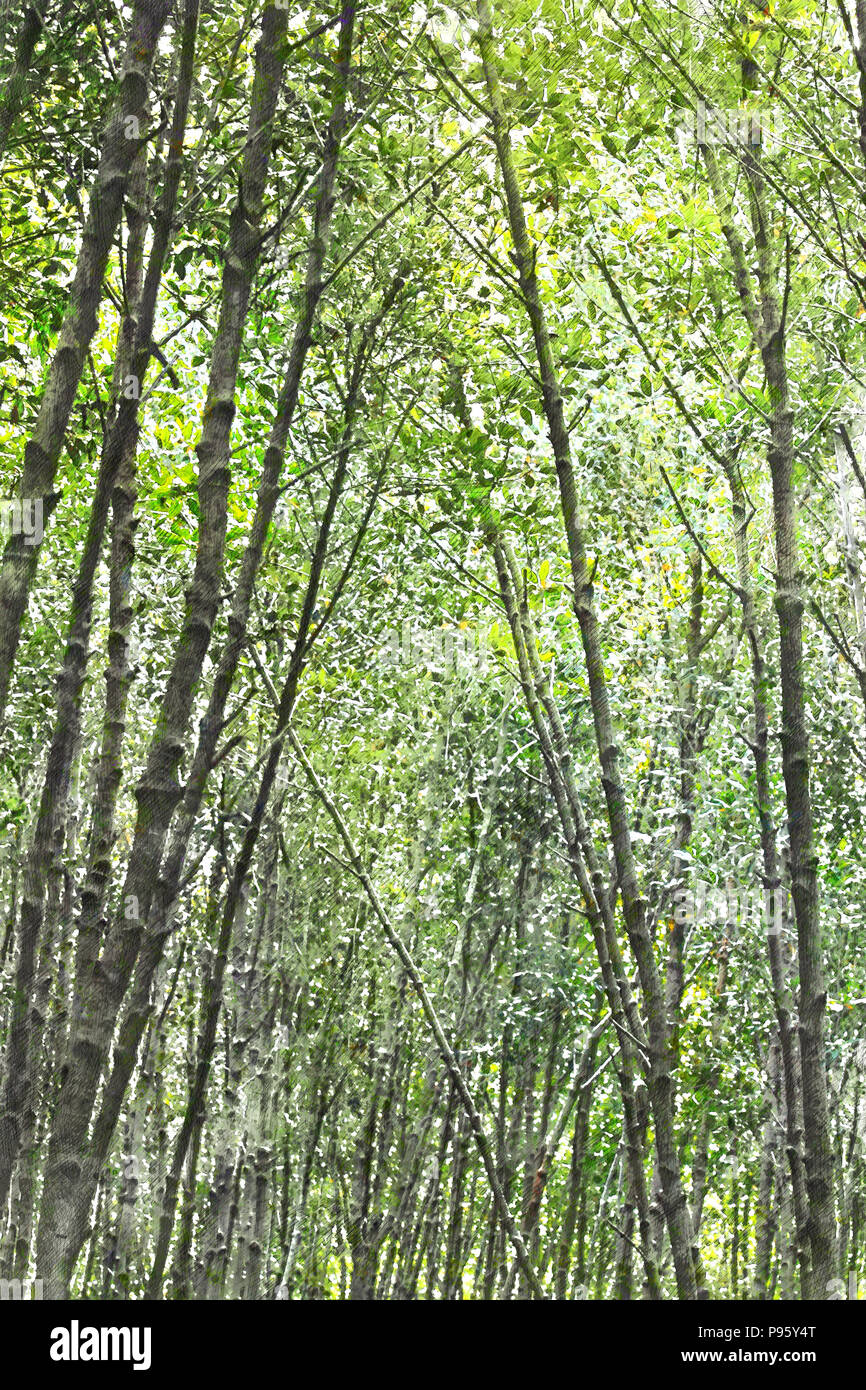 Abstract Trunk tree forest on watercolor painting background Stock ...