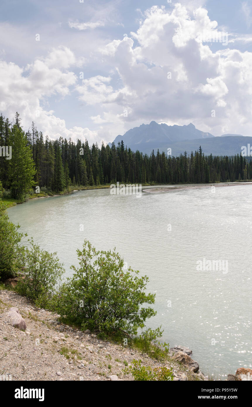 Athabasca river overview in Alberta in Canada Stock Photo - Alamy