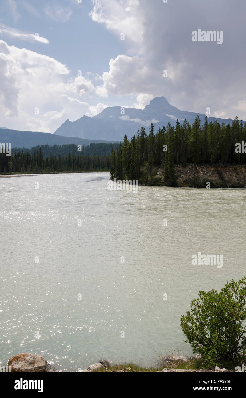 Athabasca river overview in Alberta in Canada Stock Photo - Alamy
