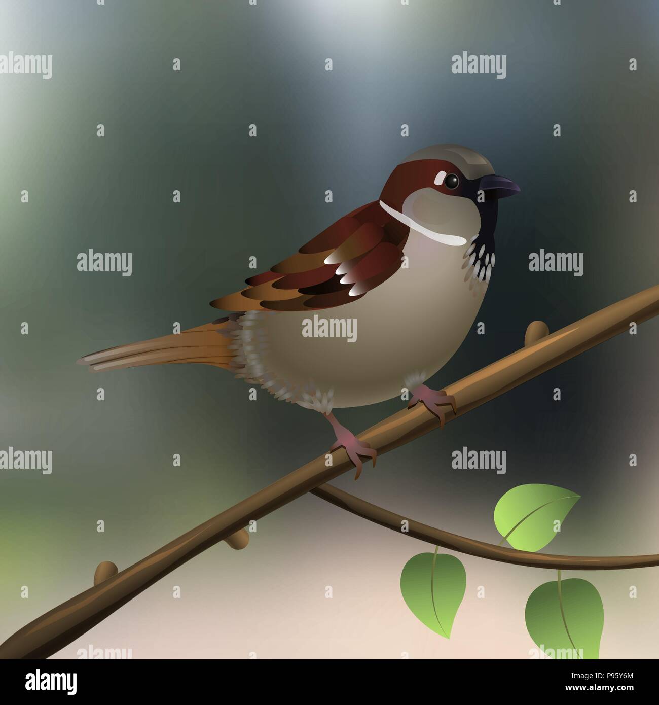 Sparrow cartoon hi-res stock photography and images - Alamy