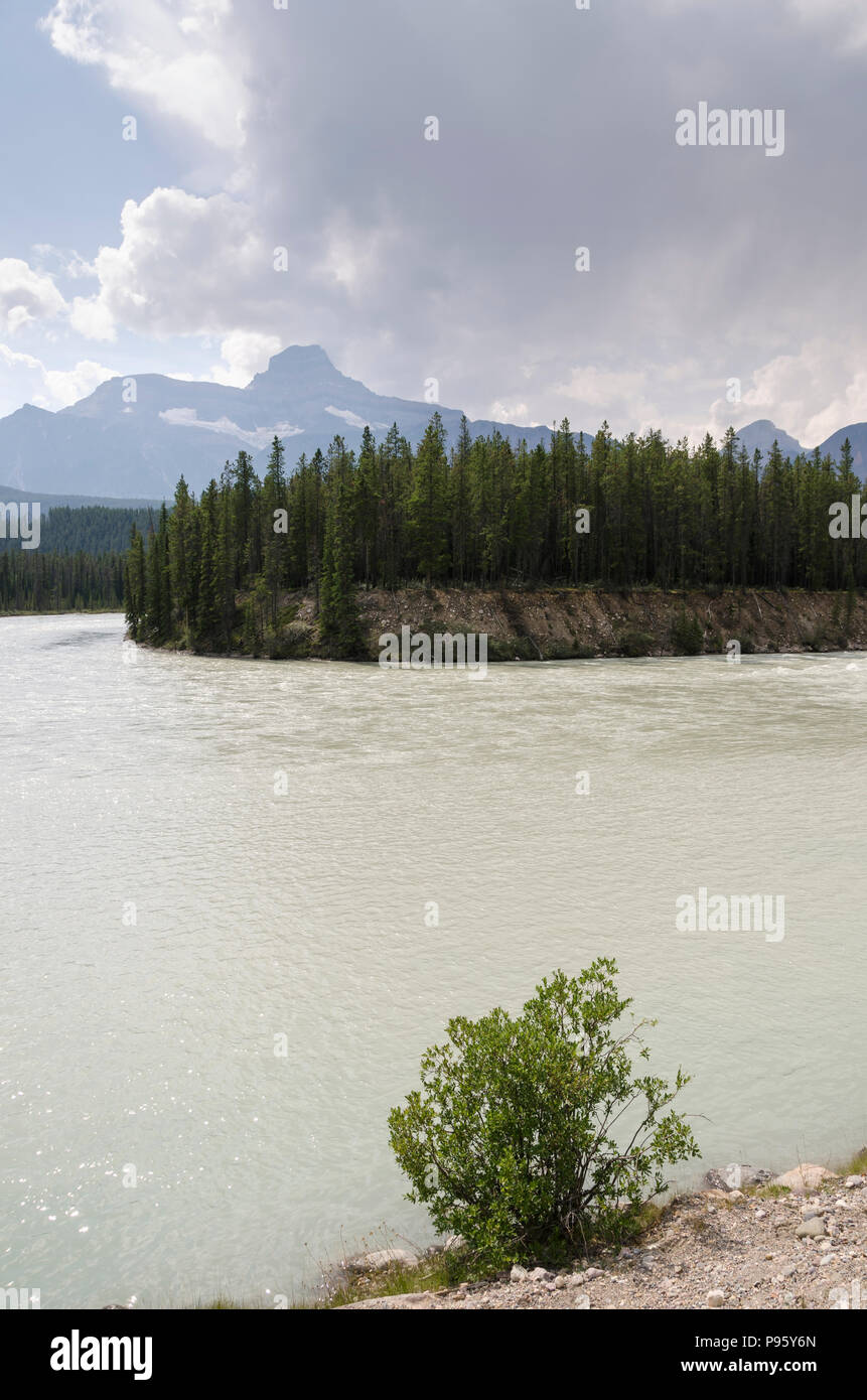 Athabasca river overview in Alberta in Canada Stock Photo - Alamy