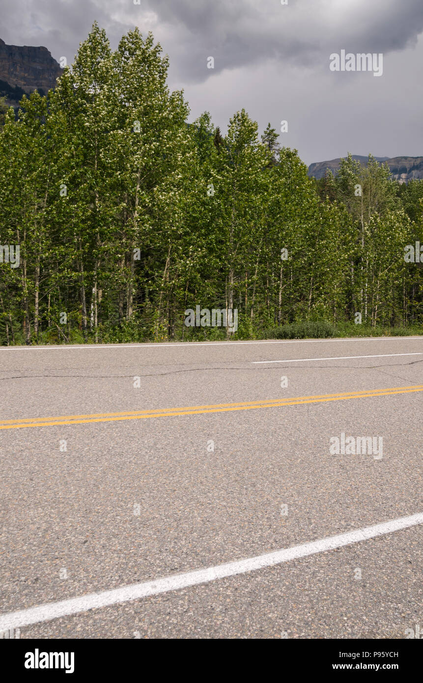 Athabasca river overview in Alberta in Canada Stock Photo - Alamy