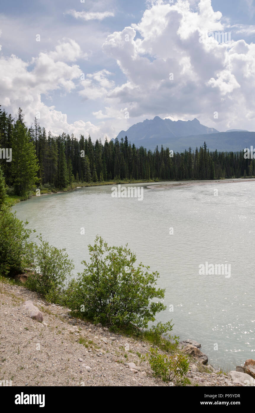 Athabasca river overview in Alberta in Canada Stock Photo - Alamy