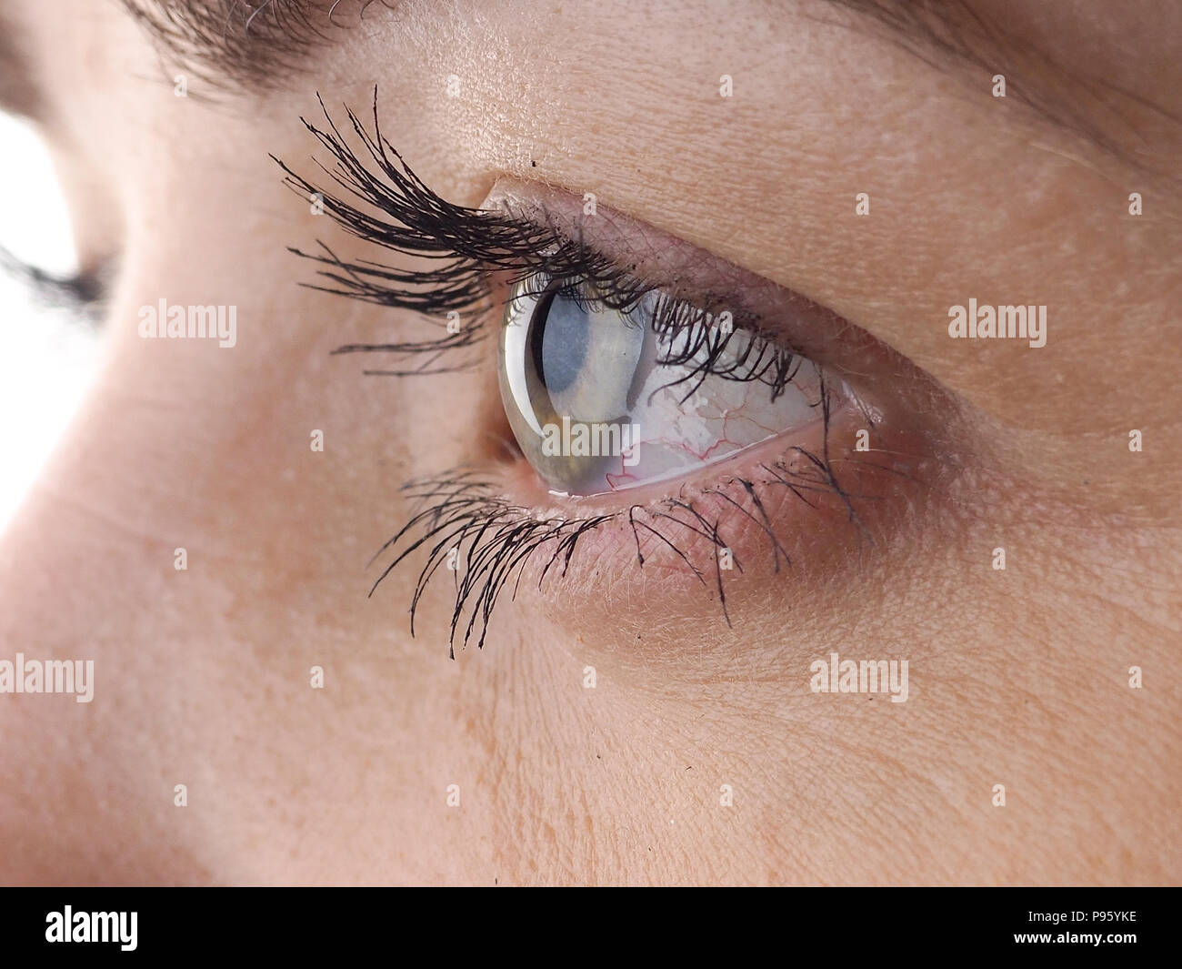 Close-up of eye, the human eye sideways,girl's eyes with big eyelashes ...