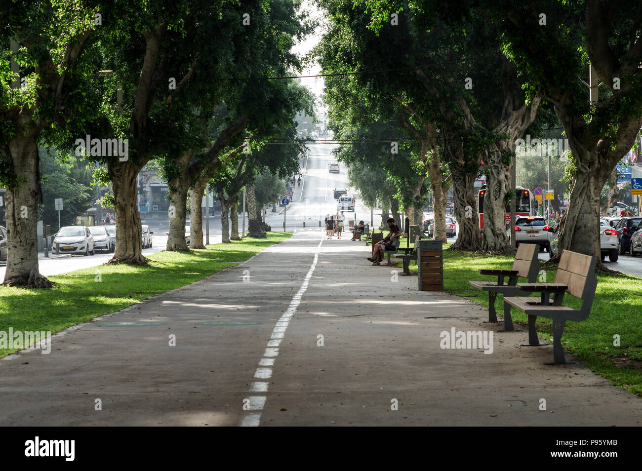 Tree Lined Boulevard Stock Photos & Tree Lined Boulevard Stock Images ...