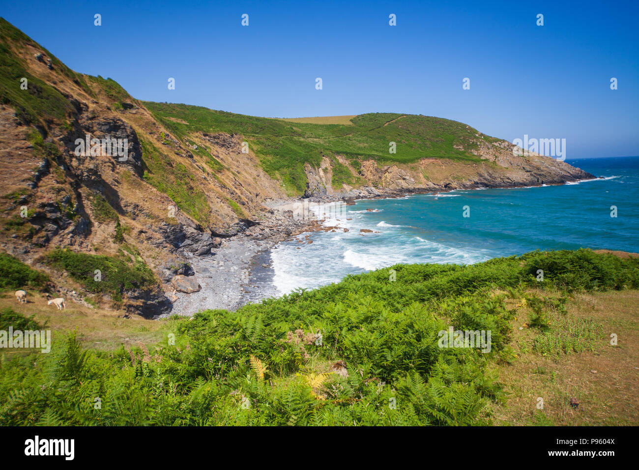 view of nare head in cornwall uk Stock Photo - Alamy