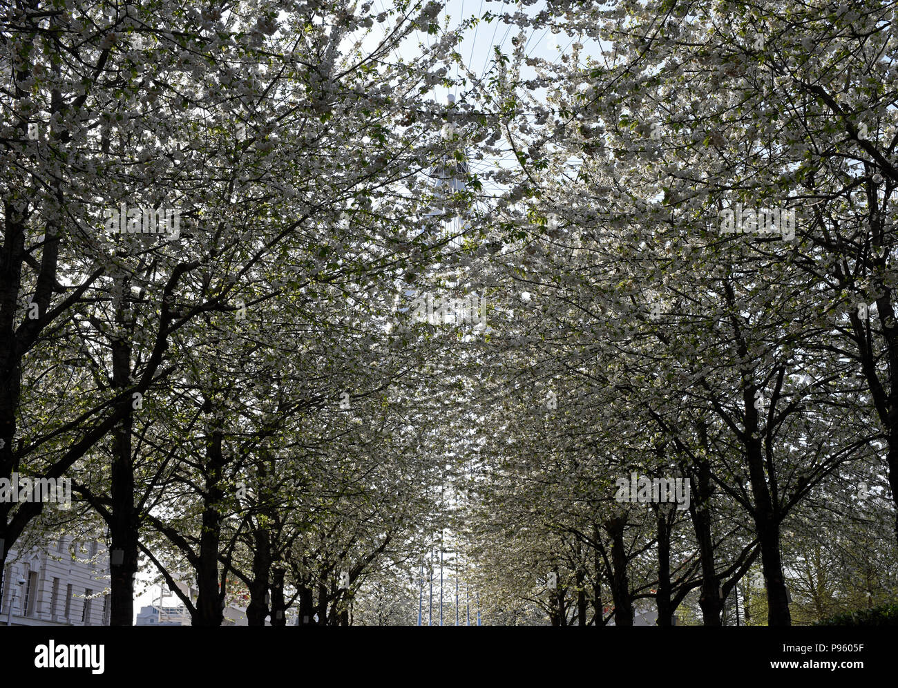 Cantilevered deck hi-res stock photography and images - Alamy