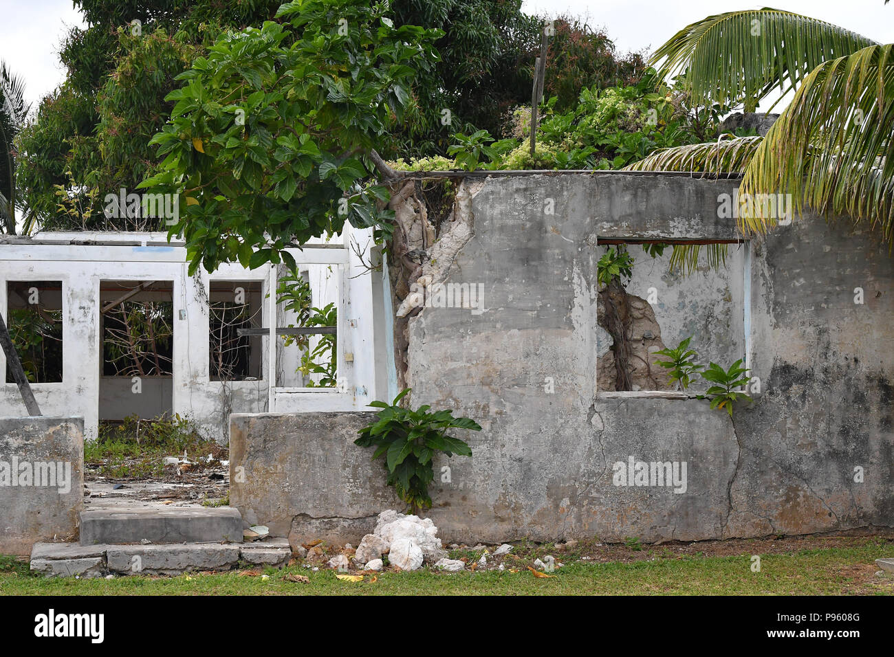 Polynesia cook island bungalow house view Stock Photo - Alamy