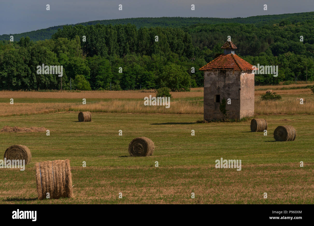 Traditional pigeonnier, pigeon. house, during wheat harvest time in the ...