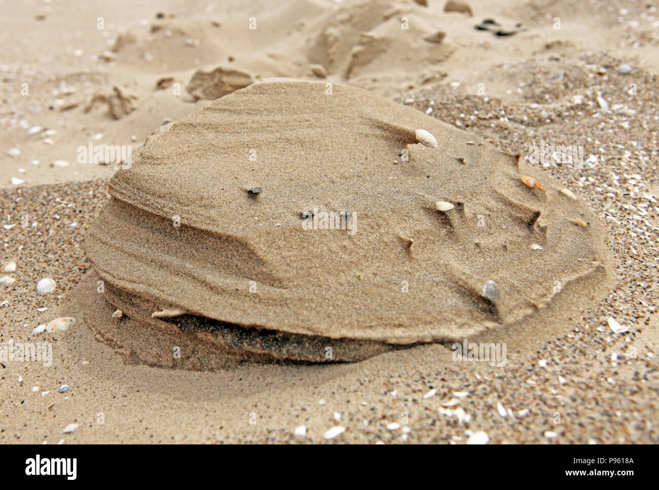 Closeup of beach sand shaped by wind as wave hi-res stock photography ...