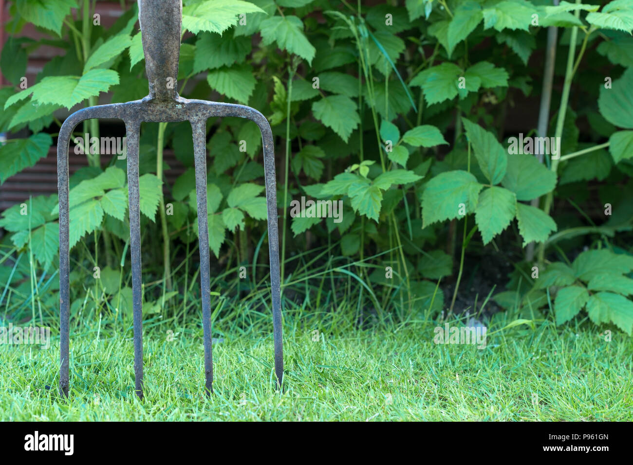 Dig folk hi-res stock photography and images - Alamy