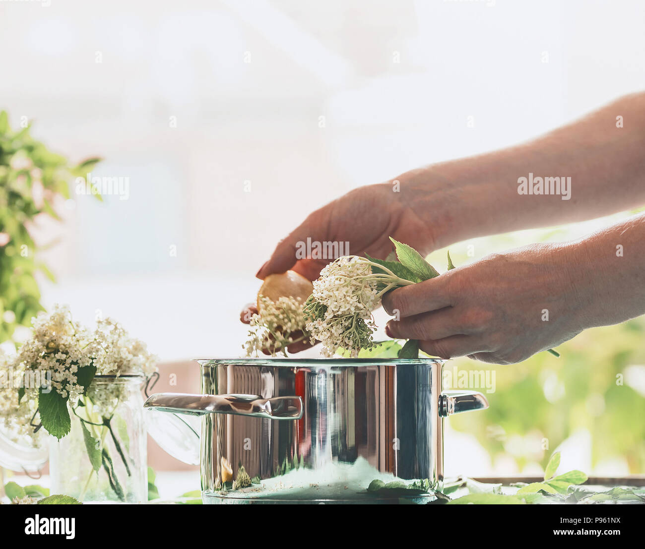 Female woman hand making seasonal traditional syrup of elderberry ...