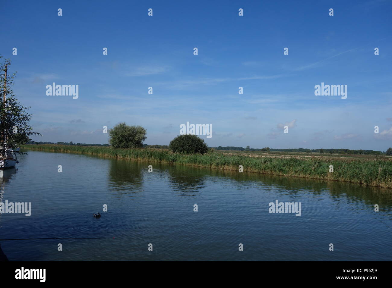 Norfolk broads landscape Stock Photo - Alamy