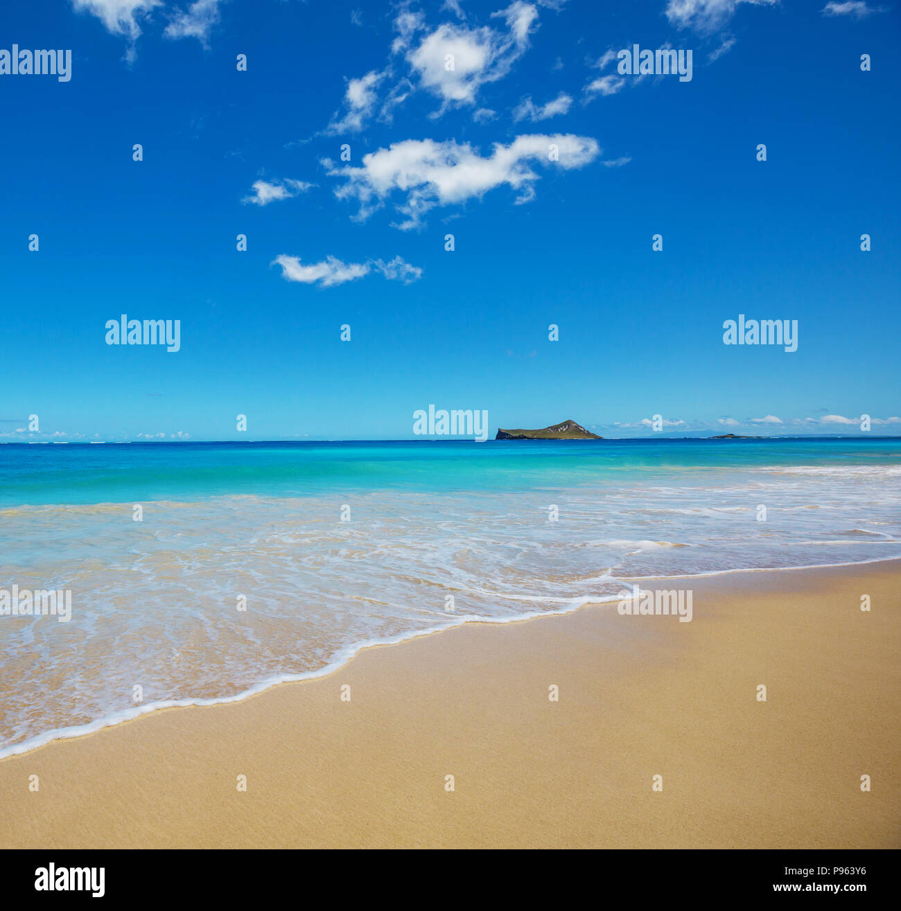 Beautiful landscapes in Oahu island, Hawaii Stock Photo - Alamy