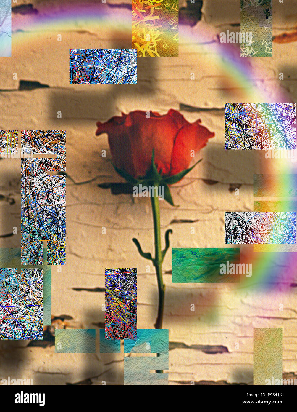 Modern art. Red rose on abstract background Stock Photo - Alamy