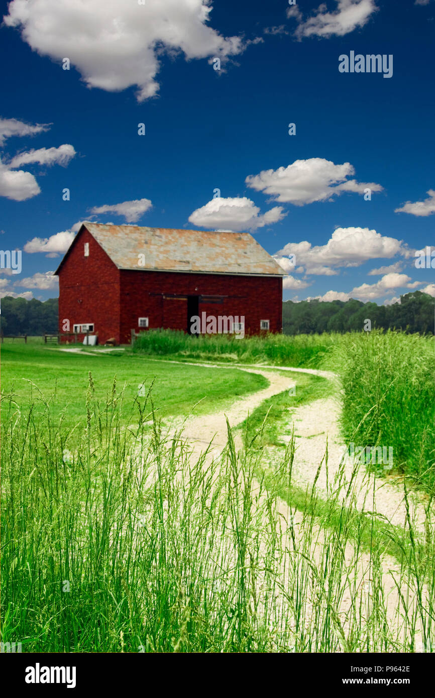Red Barn in field of wheat Stock Photo - Alamy