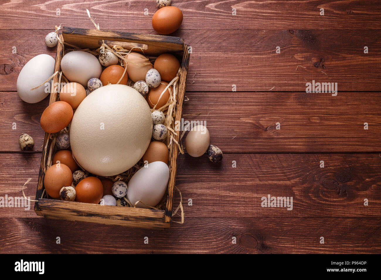 Birds with gift box hi-res stock photography and images - Alamy