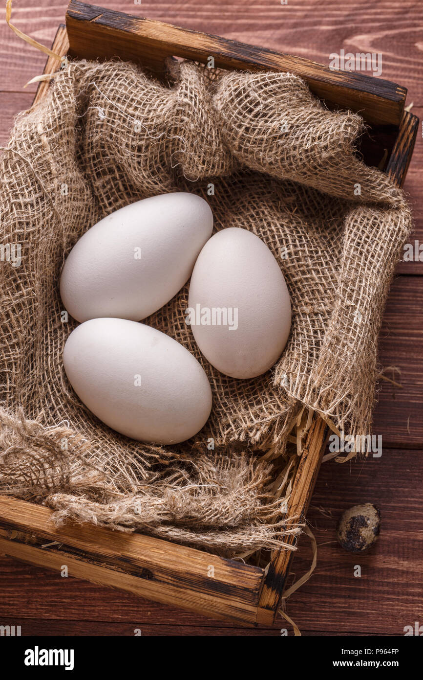 Three big fresh goose eggs in a box, copyspace Stock Photo - Alamy