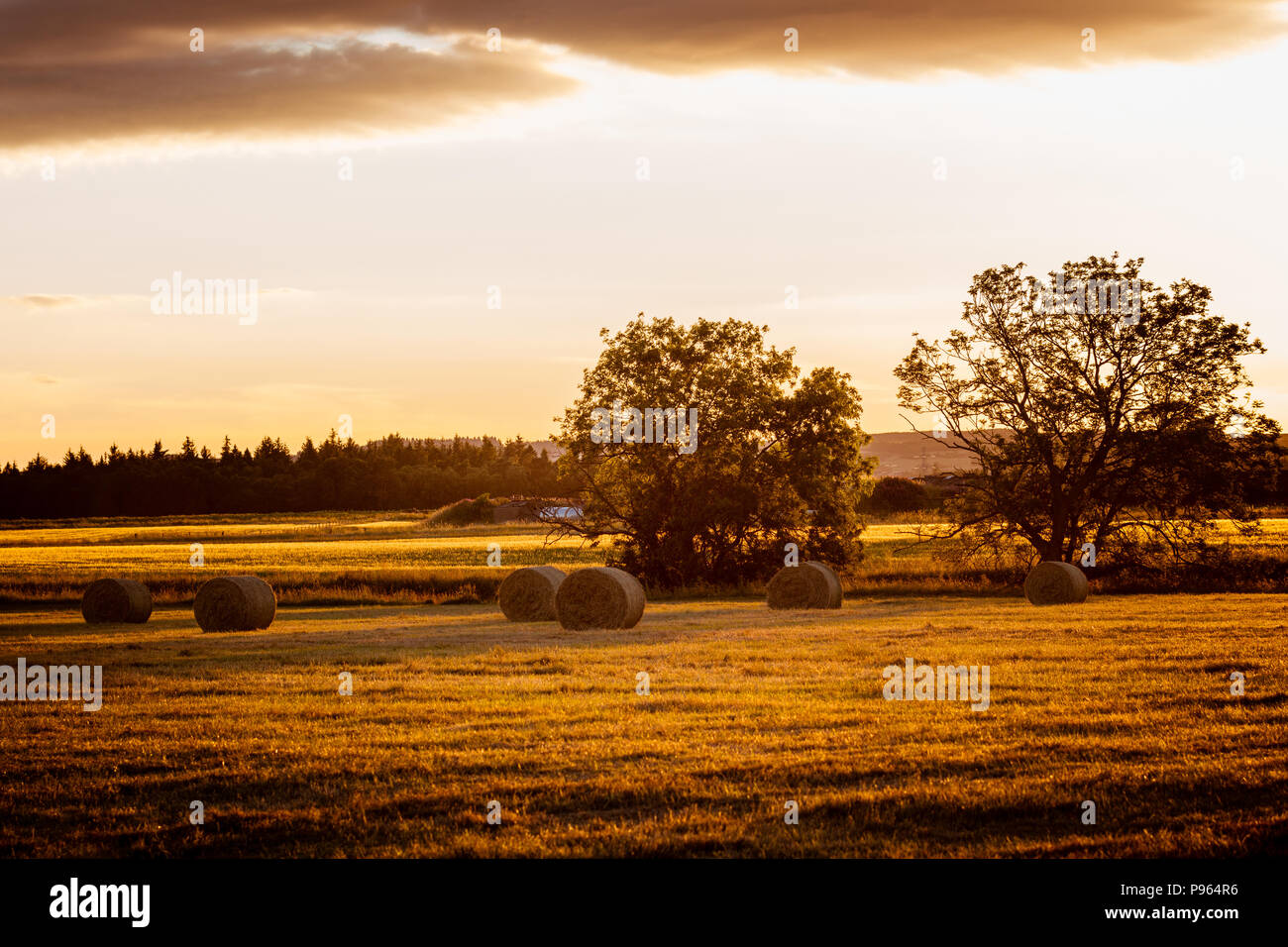 Candren road sunset candren farm hi-res stock photography and images ...