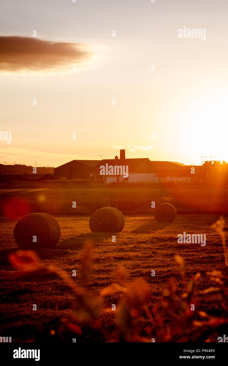 Candren road sunset candren farm hi-res stock photography and images ...