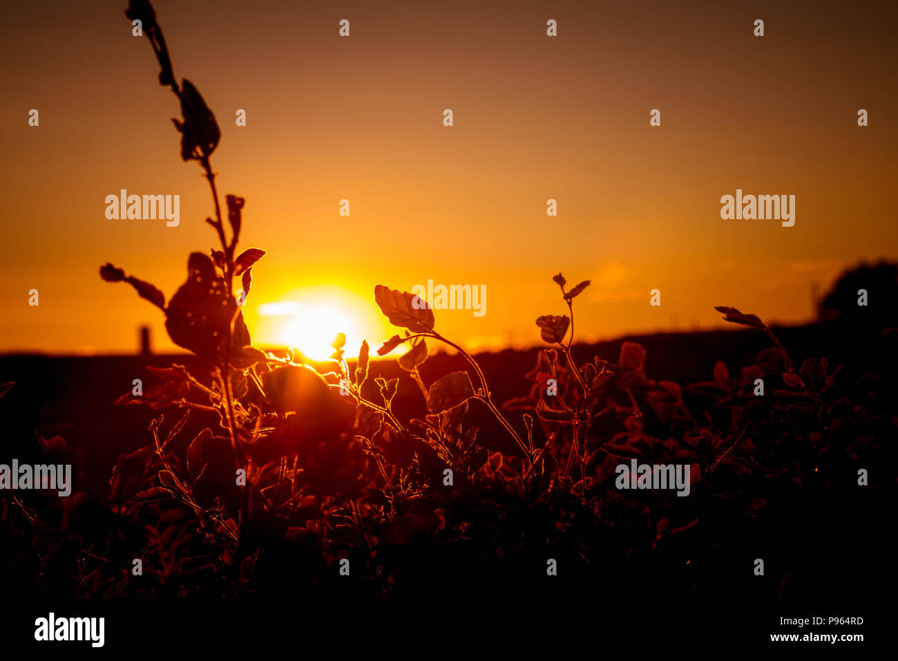 Candren road sunset candren farm hi-res stock photography and images ...
