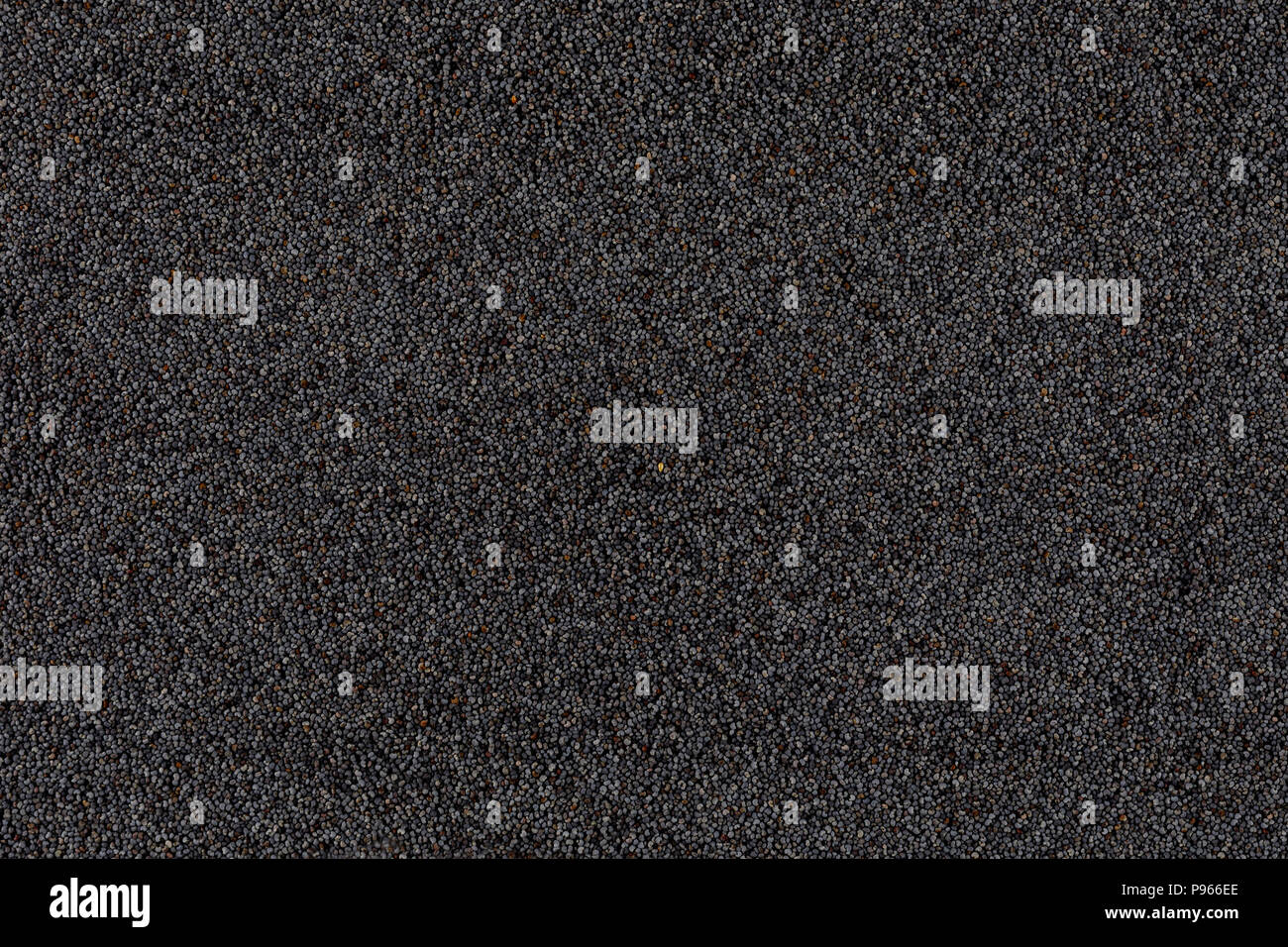 Texture lined with poppy seeds. Great background Stock Photo - Alamy