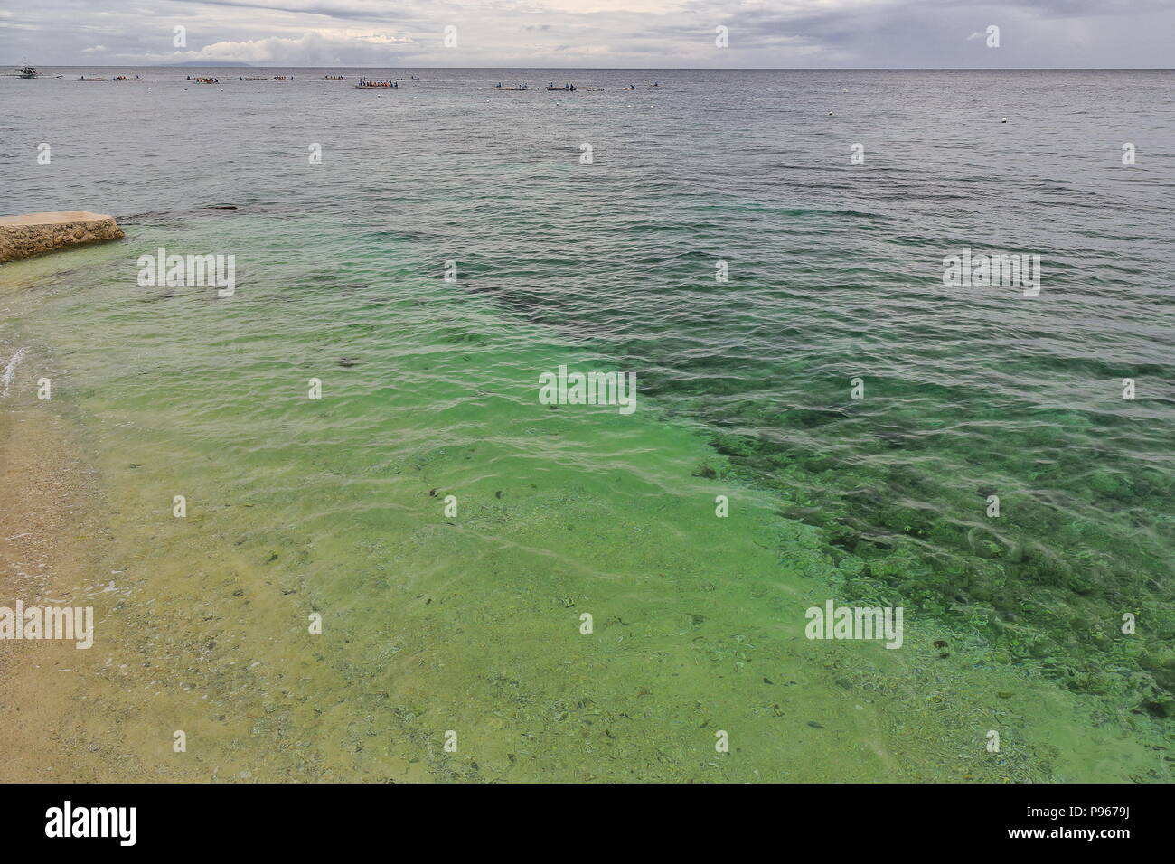 Fishermen in Tan-awan barangay of Oslob city feed whale sharks by hand ...