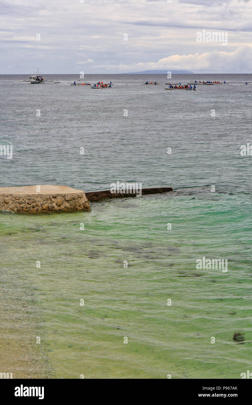 Fishermen in Tan-awan barangay of Oslob city feed whale sharks by hand ...
