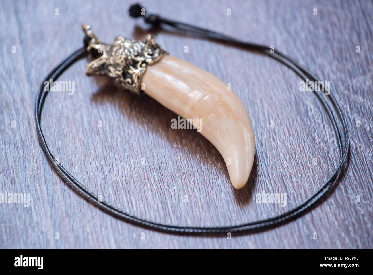 Bear grizzly trophy hi-res stock photography and images - Alamy