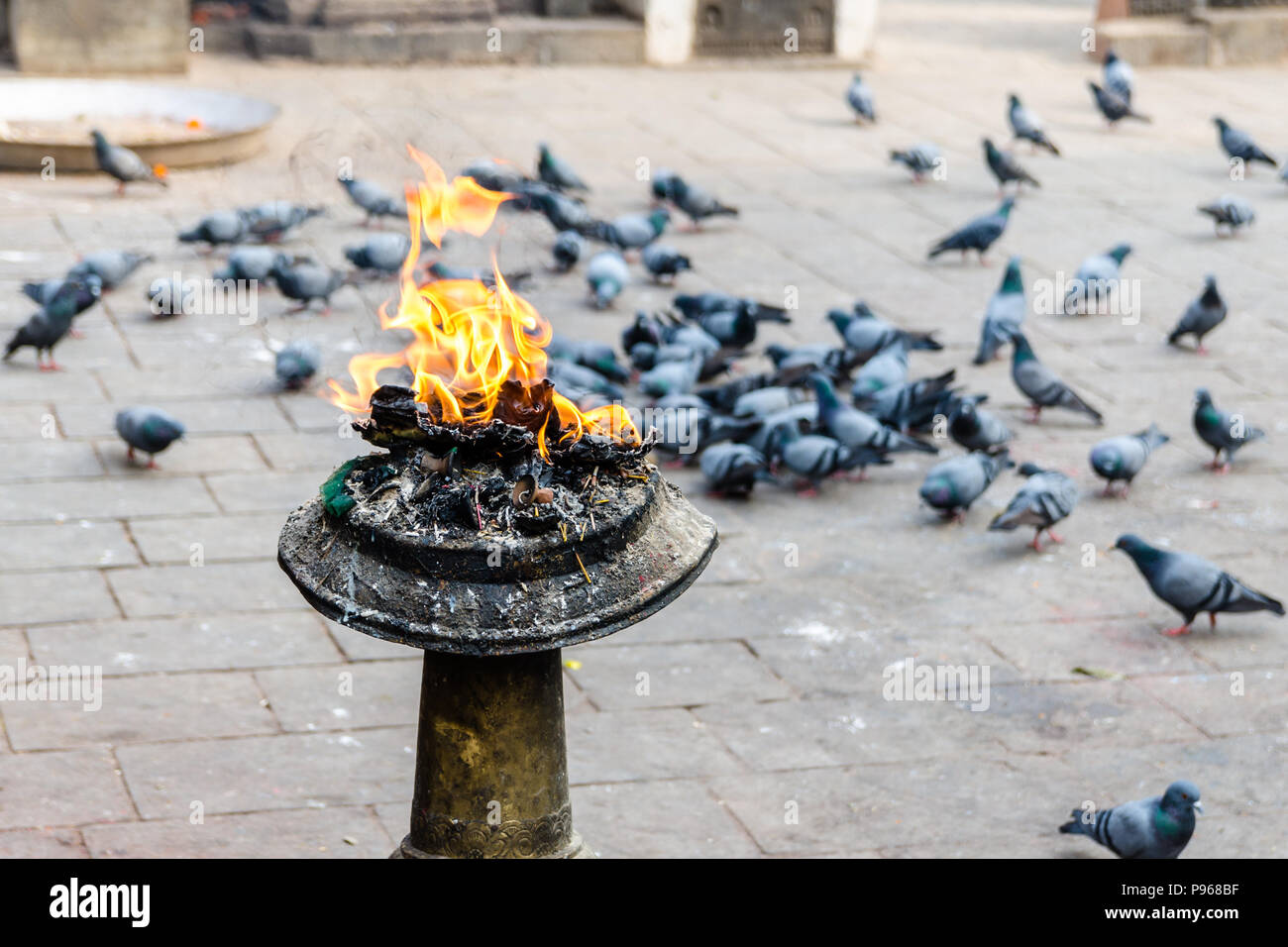 Fire offering in Swayambhunath, Monkey Temple, Kathmandu, Nepal Stock ...