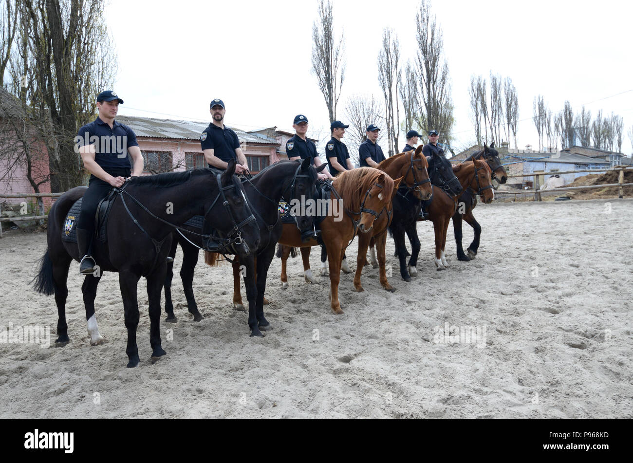 Police horses training hi-res stock photography and images - Alamy