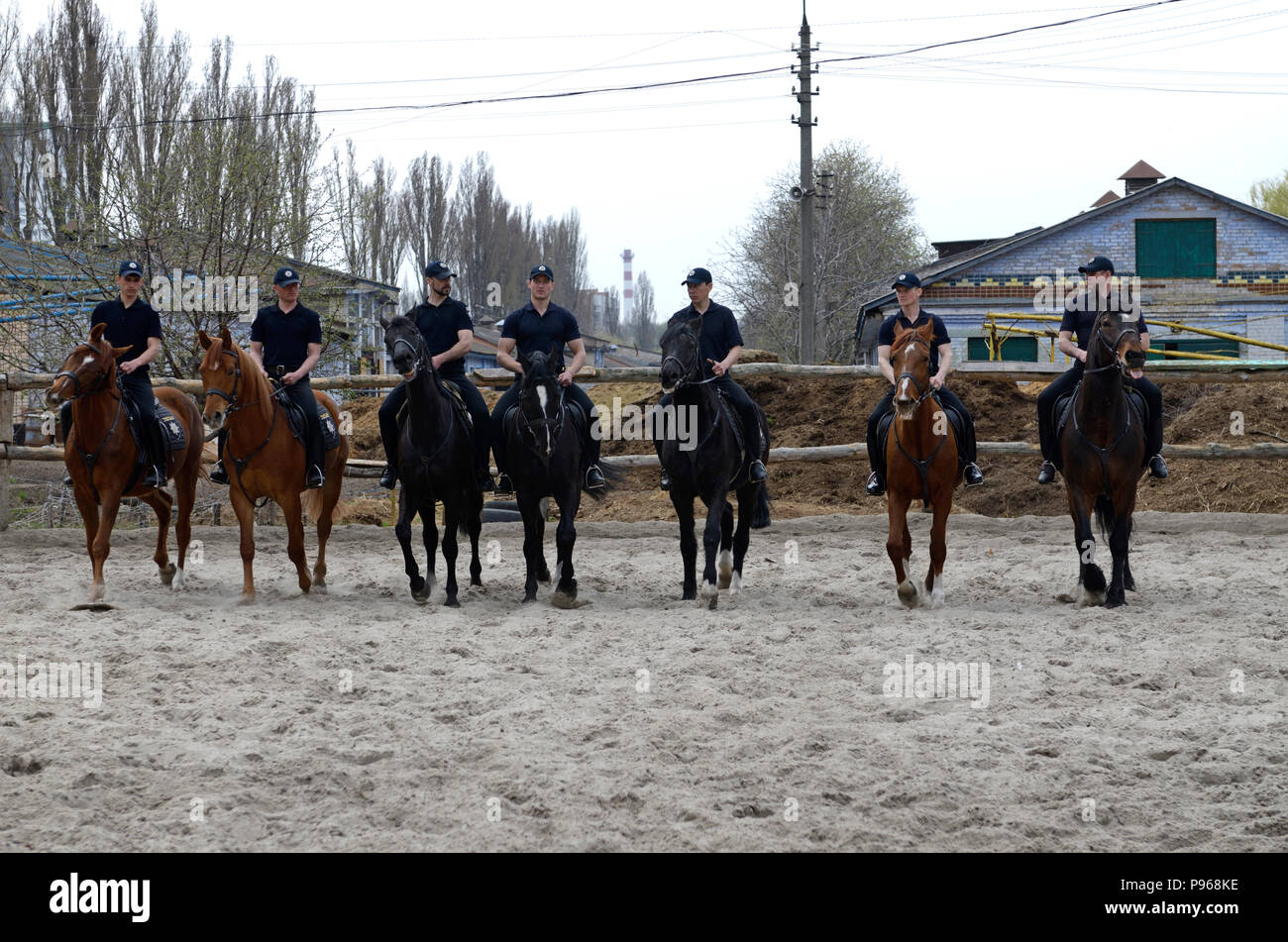 Police horses training hi-res stock photography and images - Alamy