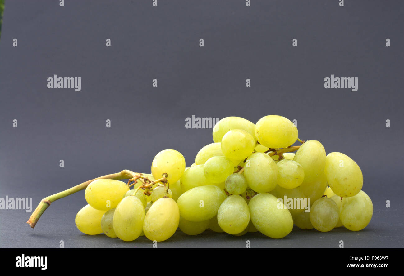 Grapes sowing hi-res stock photography and images - Alamy