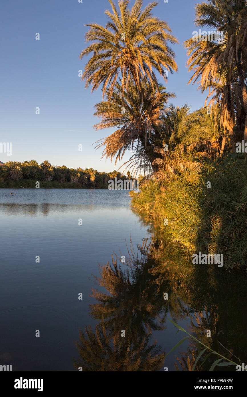 Village of San Ignacio, Baja California, Mexico Stock Photo - Alamy