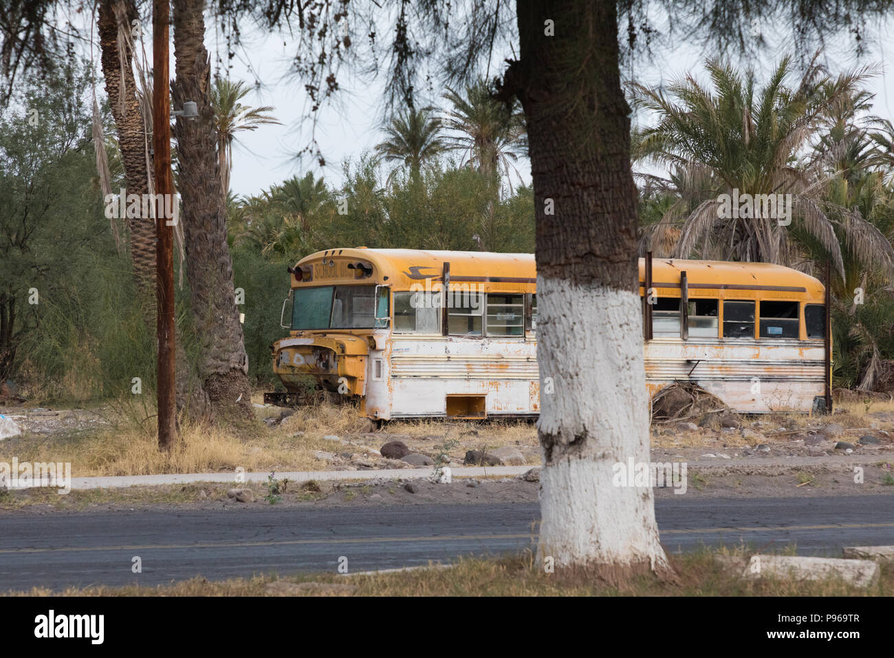 Village of San Ignacio, Baja California, Mexicoold Stock Photo - Alamy