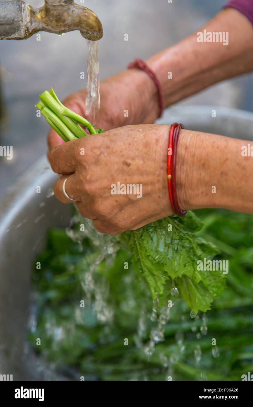 Women washing vegetable under tap water outside Stock Photo - Alamy