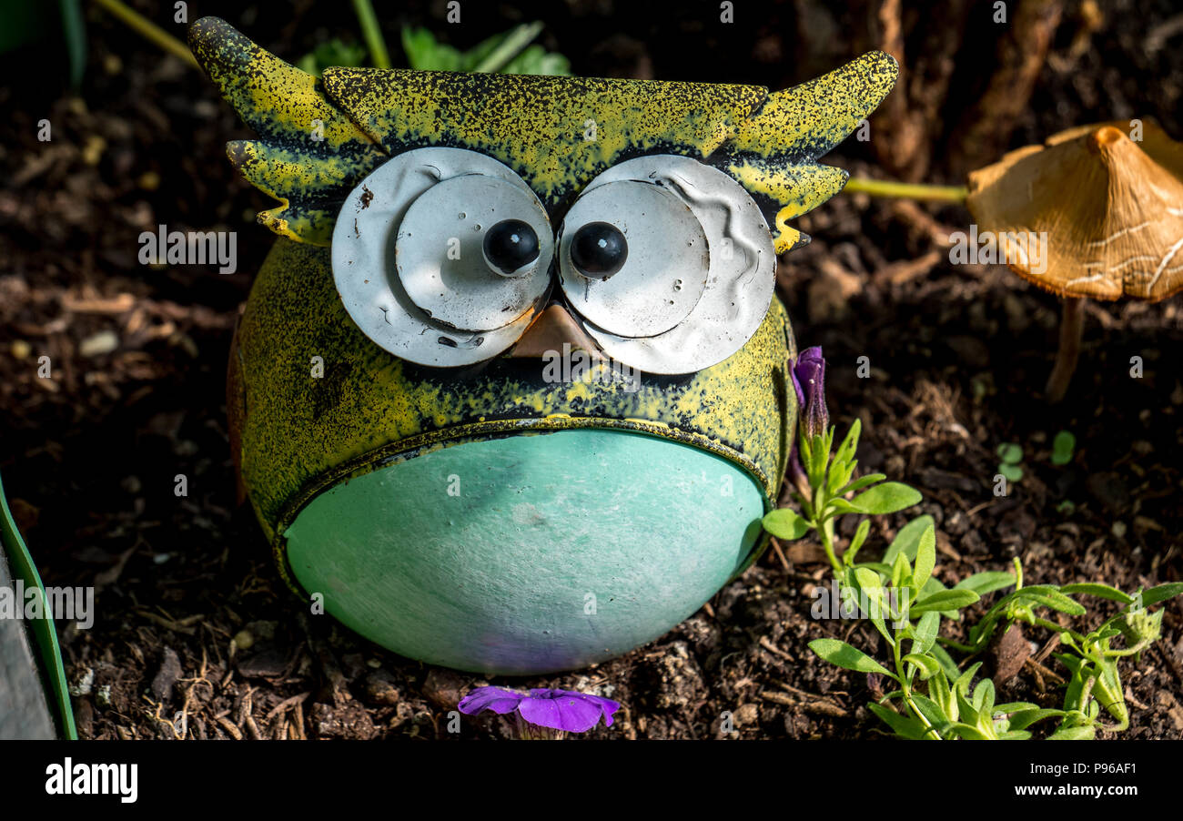 Funny owl hi-res stock photography and images - Alamy