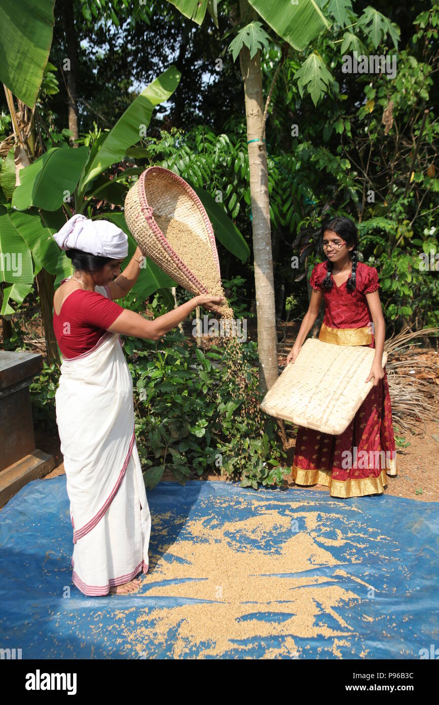 Thulasi thara hi-res stock photography and images - Alamy