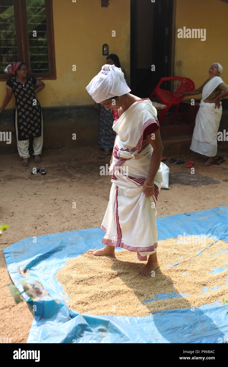 processing of husked rice;drying it naturally under the sun,then ...